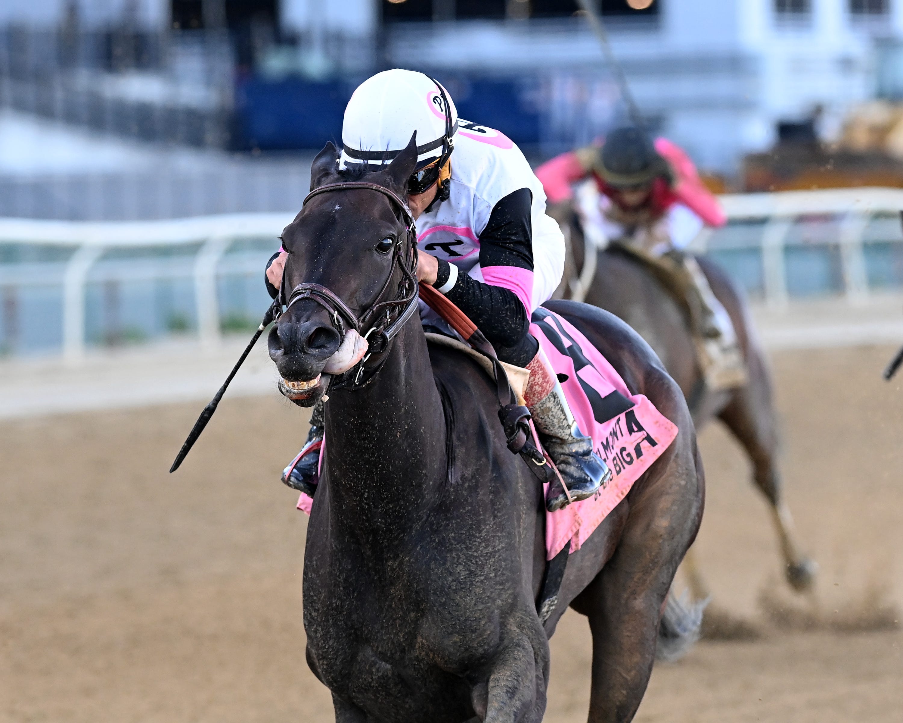 Jody's Pride finds first graded-stakes triumph in Ruffian